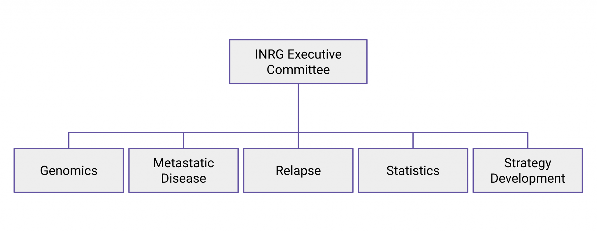 INRG Task Force | International Neuroblastoma Risk Group Task Force